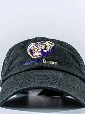 Vintage | Accessories | Vintage Newark Bears Logo Hat Y2k Adjustable ...